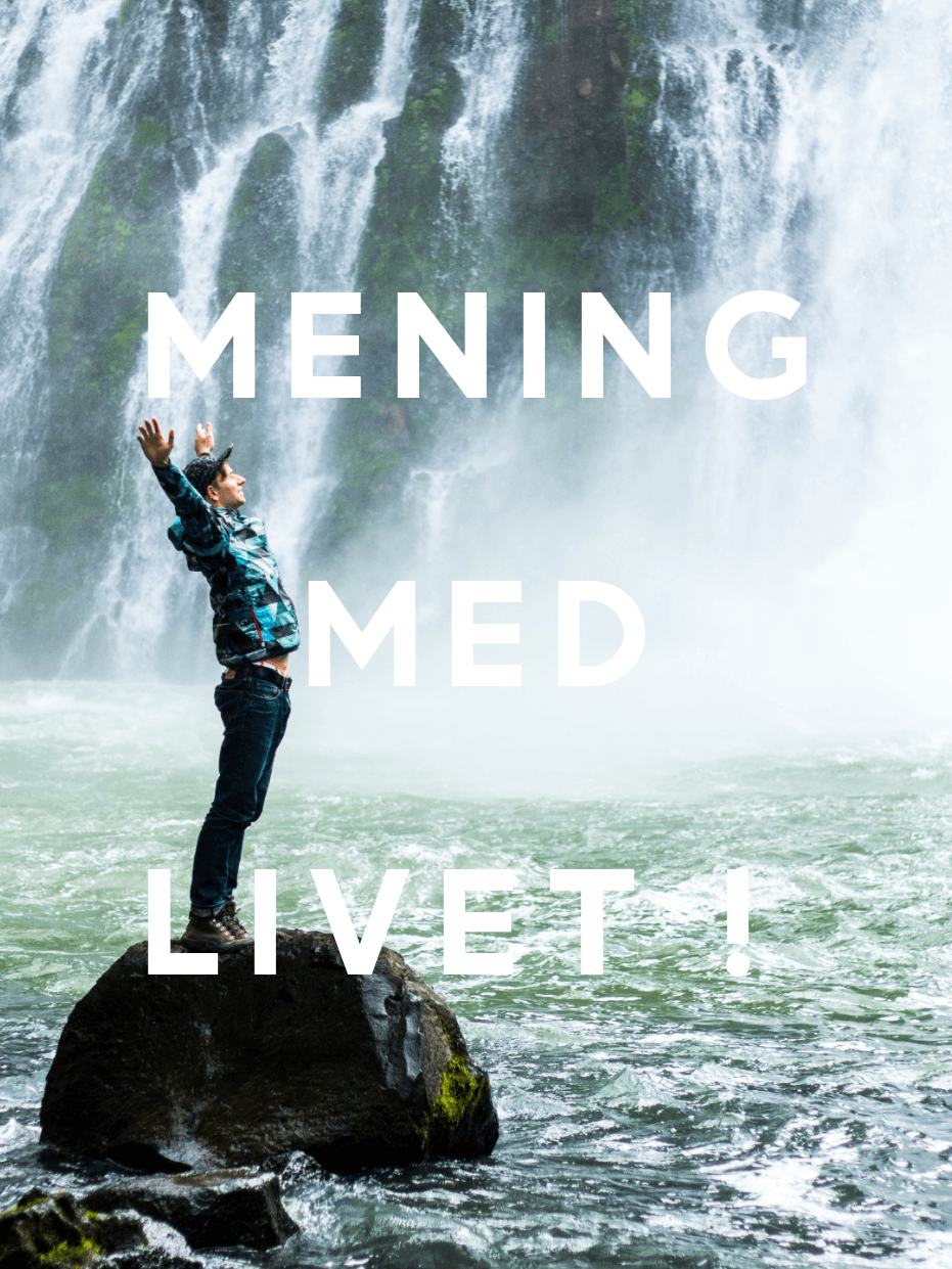 Tænker du over livet mening, hvad er meningen med livet, er der en?